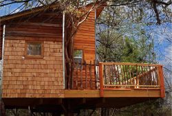 Treehouses - Eufaula Tree-Sort